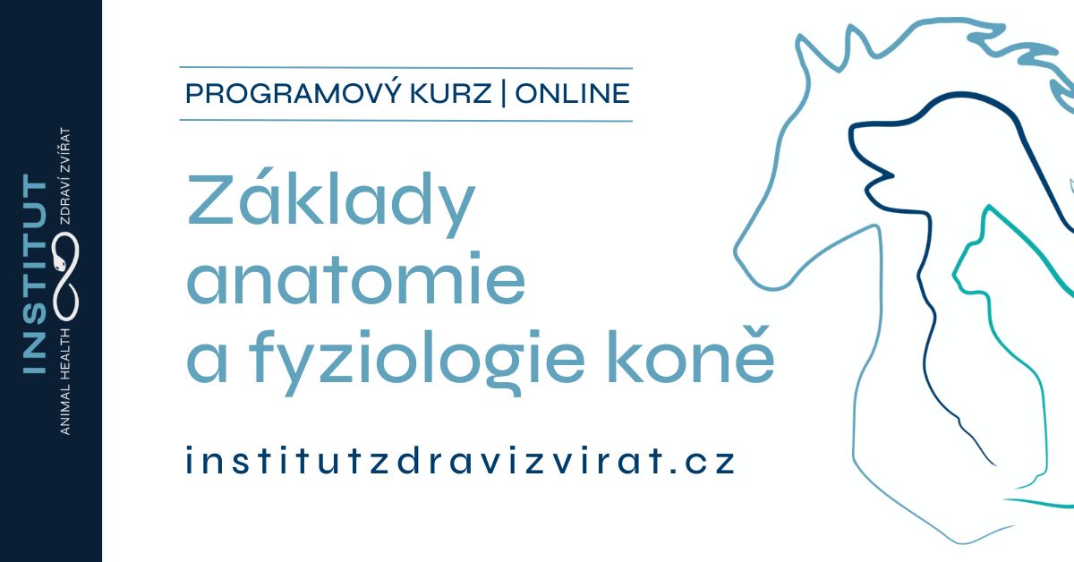 Kurz Základy anatomie a fyziologie orgánových soustav u koně | Institut ...